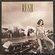 Permanent Waves