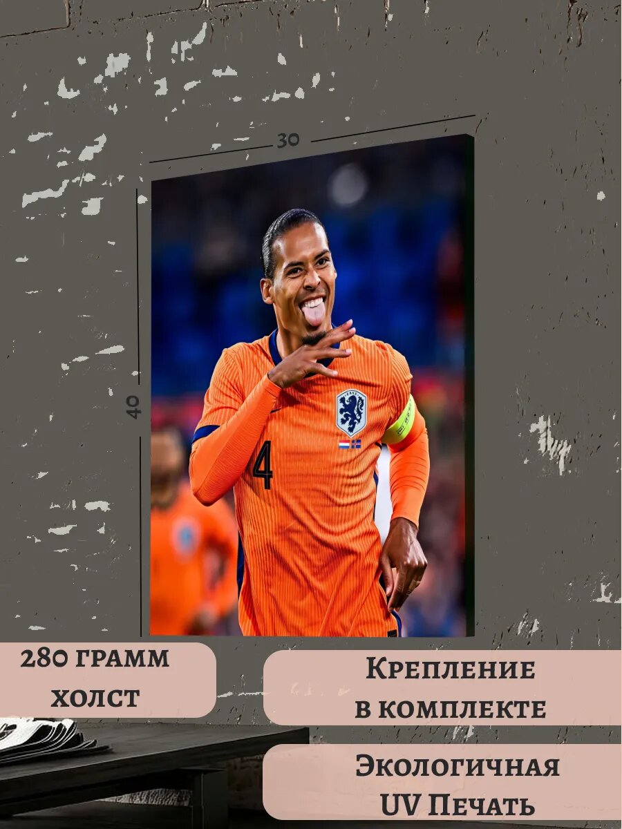 Картина 30х40 Чемпионат мира ЧМ-2026 Ван Дейк Футболист