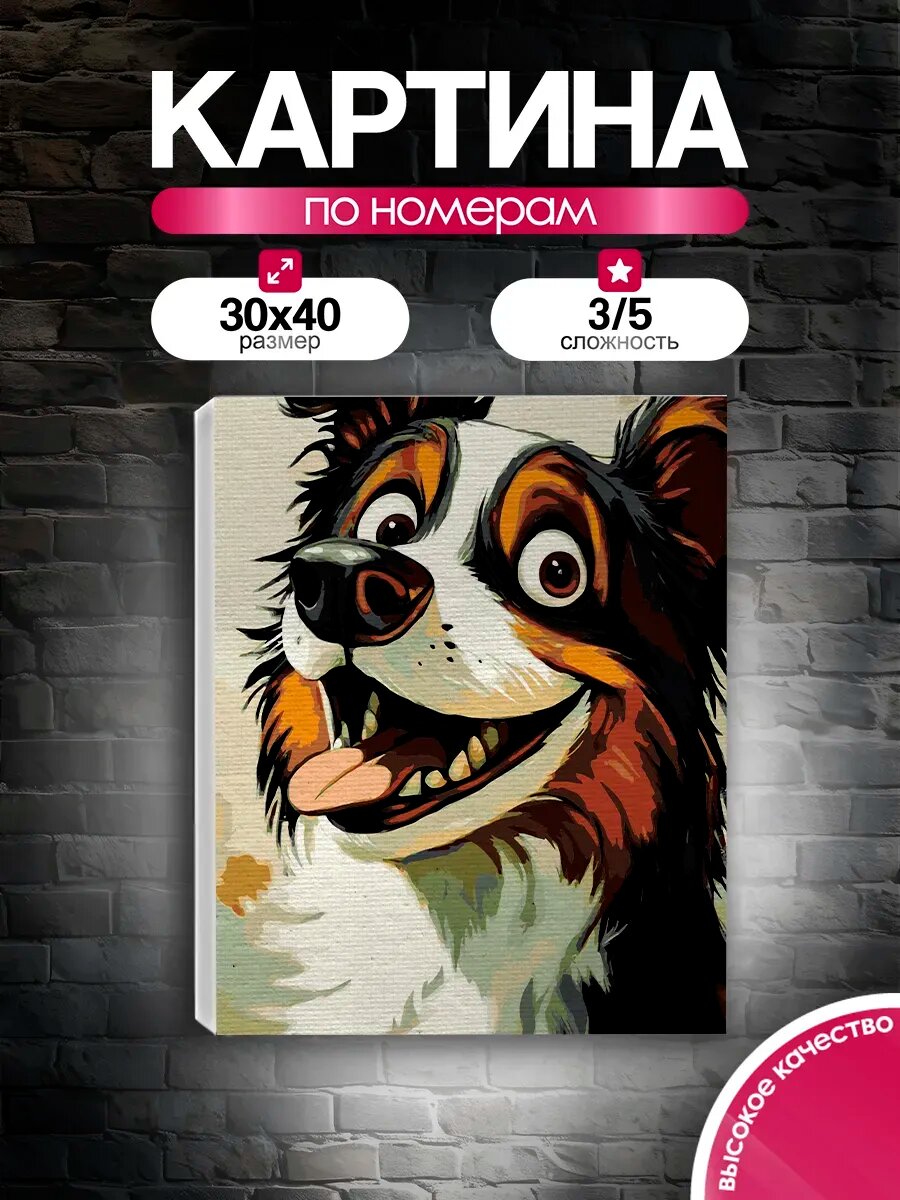 Картина по номерам 30x40 Бордер-колли