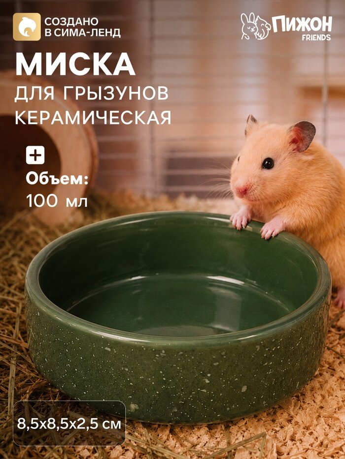 Миска для грызунов «Брызги», 100 мл, 8,5×8,5×2,5 см, керамика, зелёная