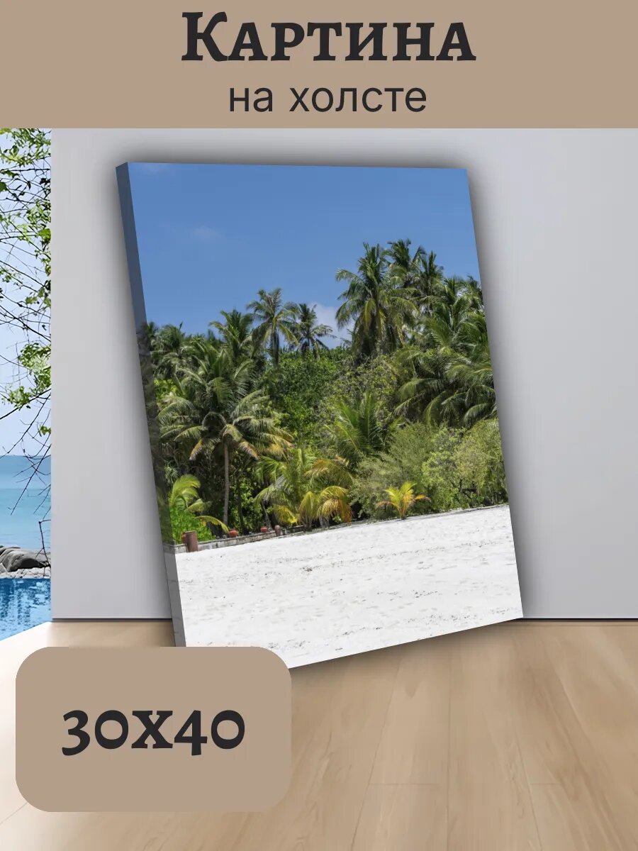 Картина Постер Мальдивы Maldives 30x40 белый Песок и Пальмы