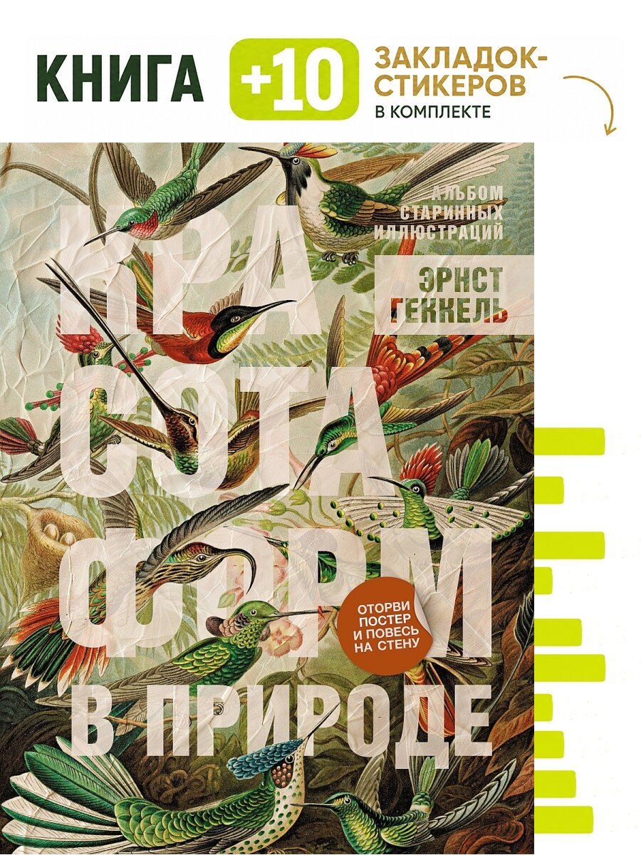 Красота форм в природе. Альбом старинных иллюстраций. Комплект: книга + 10 закладок-стикеров