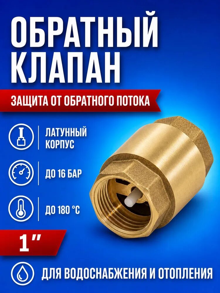 Обратный клапан 1" CTM