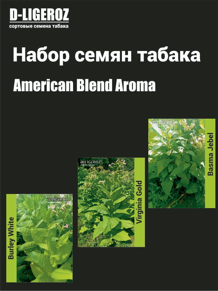 Набор семян табака American Blend Aroma (3x500 шт)