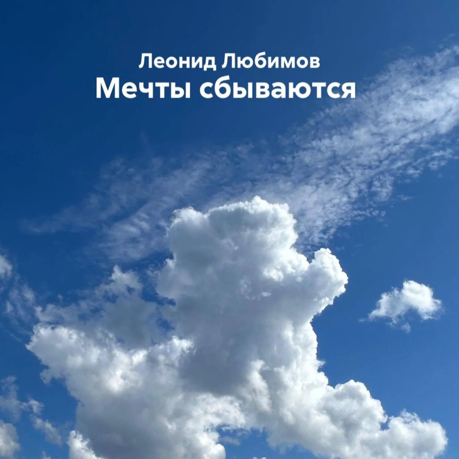 Мечты сбываются [Аудиокнига]