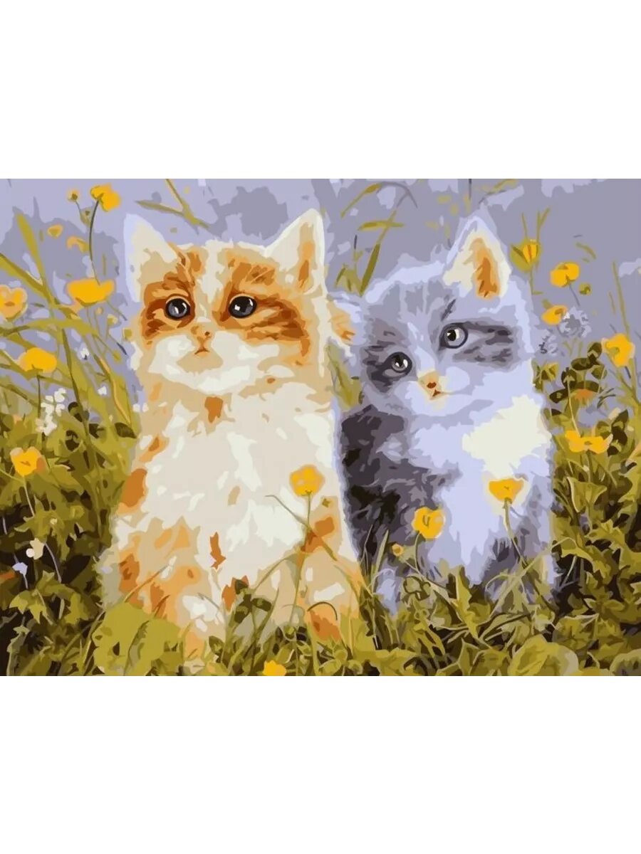 Картина по номерам "Два котенка", на холсте на подрамнике, 40 x 50 см