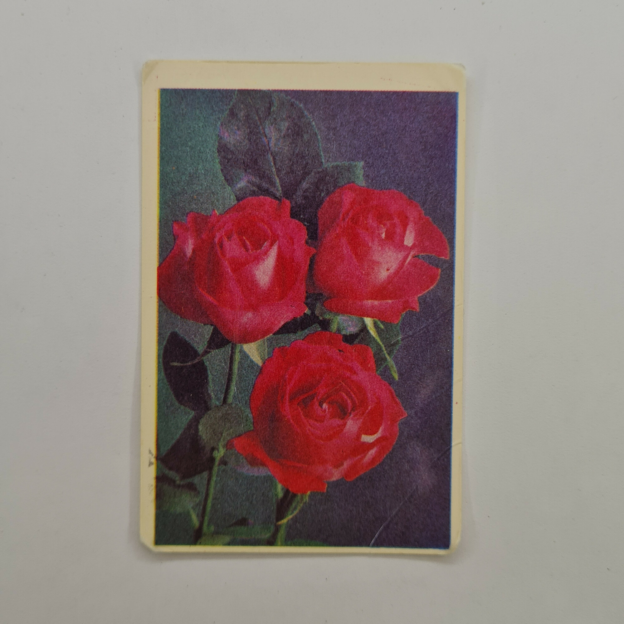 Карманный календарик СССР 1987. Красные розы, цветы. Советский календарь Тбилиси, Грузии