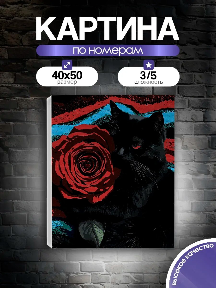Картина по номерам Кот с розой цветы