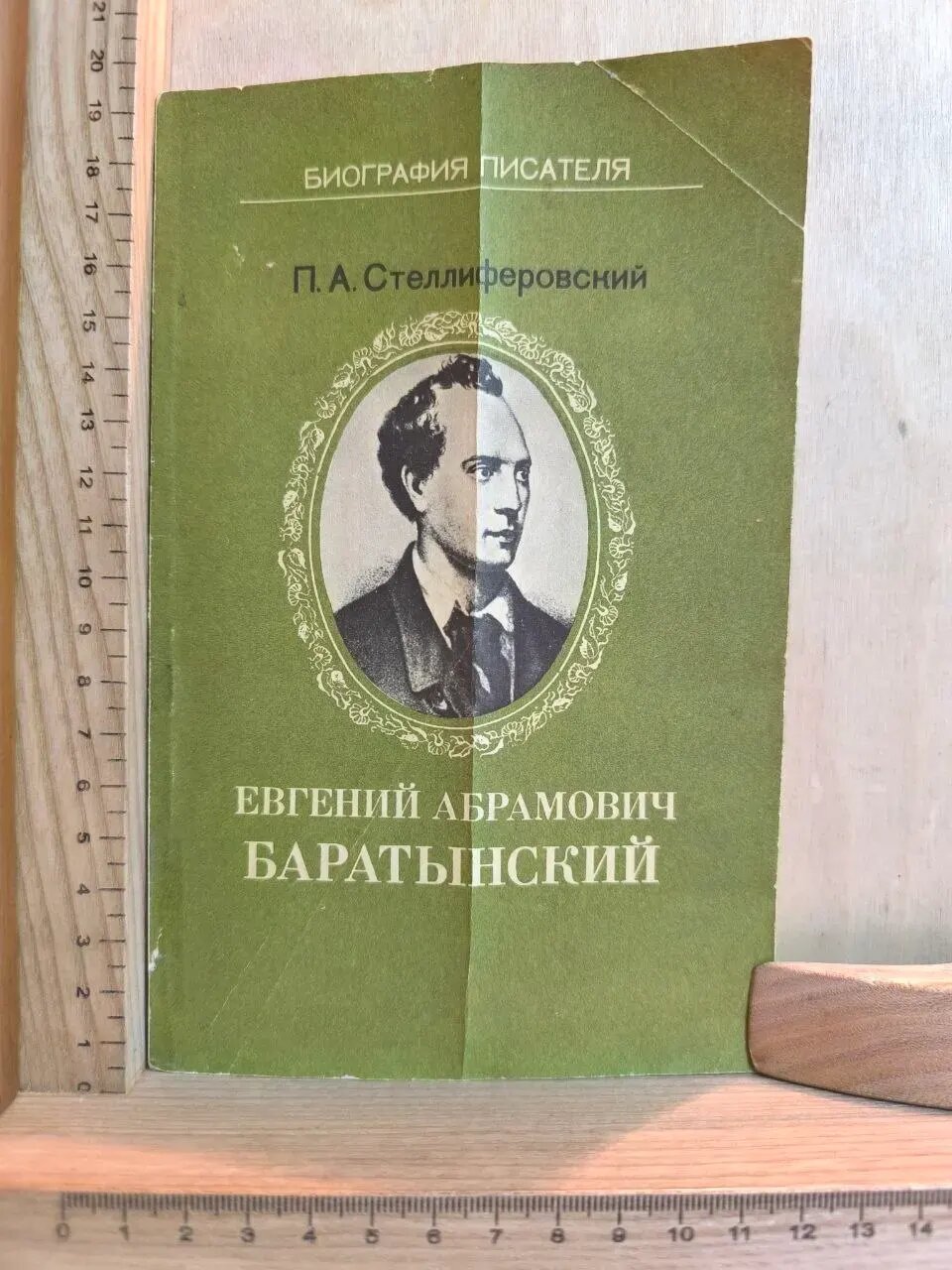 Евгений Абрамович Баратынский. Книга для учащихся старших классов средней школы