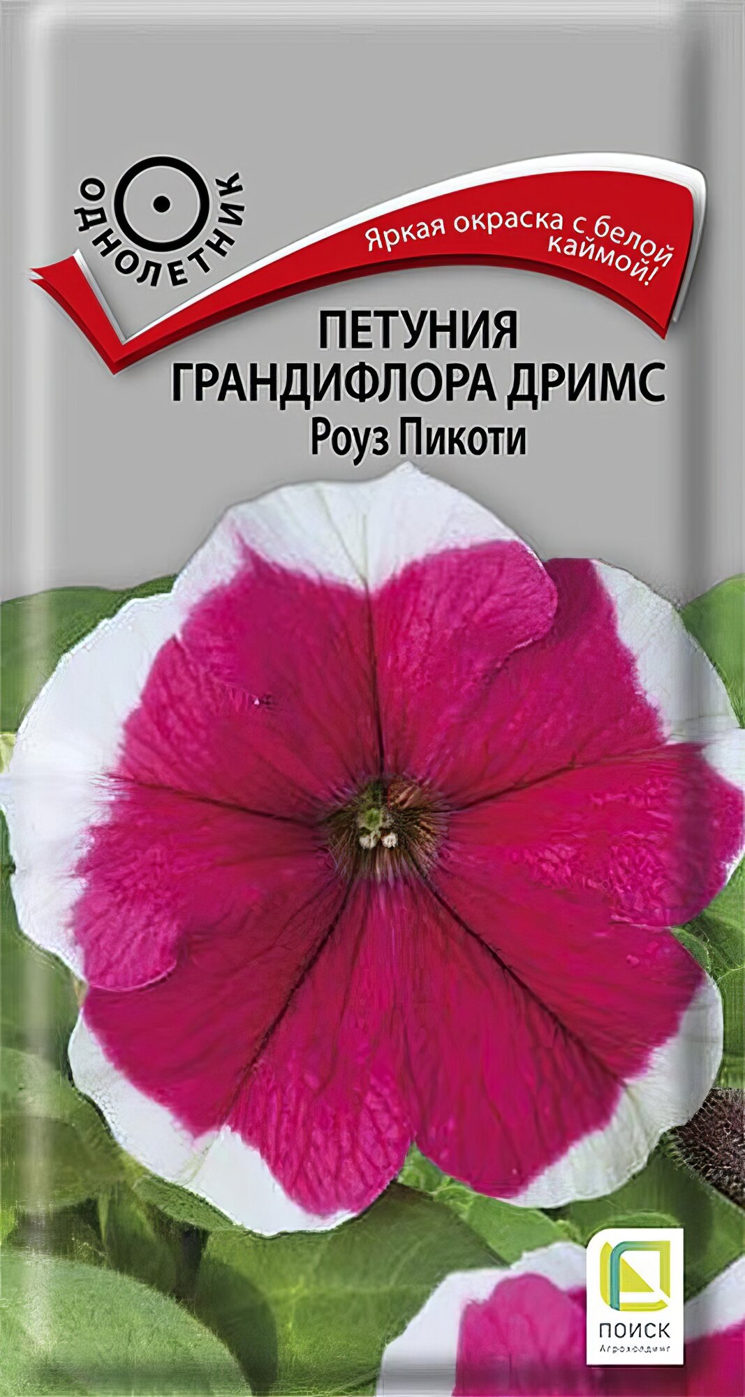Семена Петуния грандифлора Дримс Роуз Пикоти 15шт