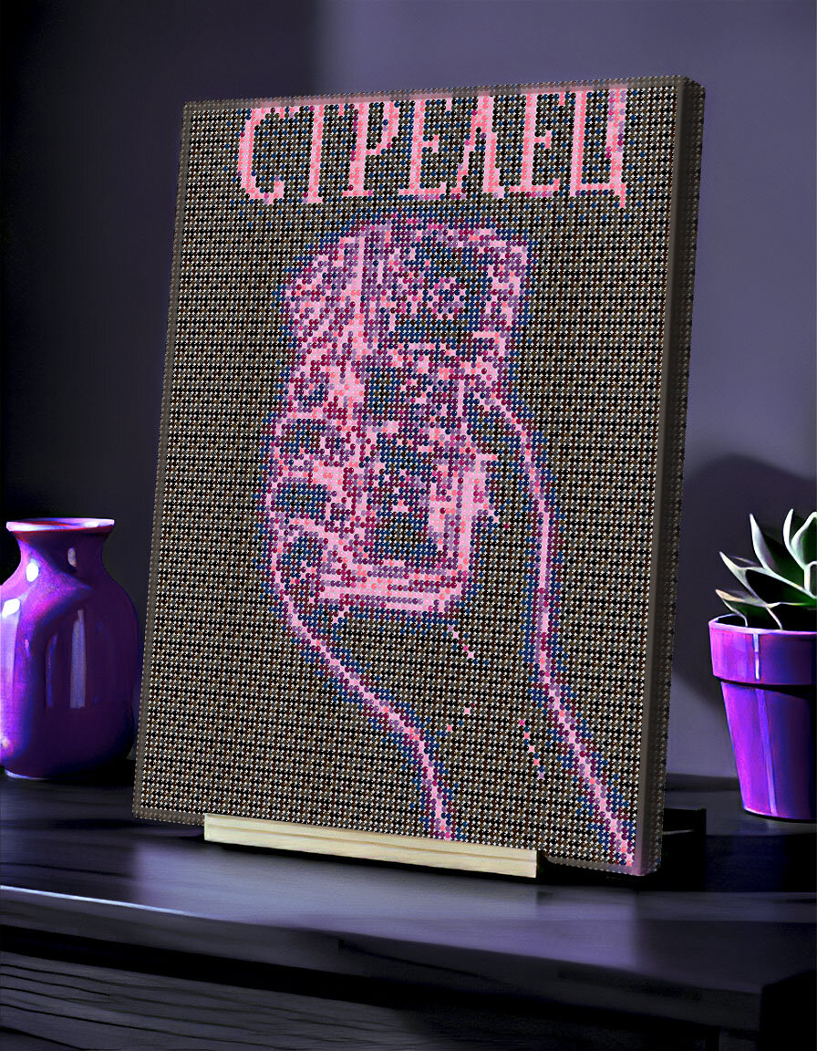 Алмазная мозаика Стрелец — фото 1
