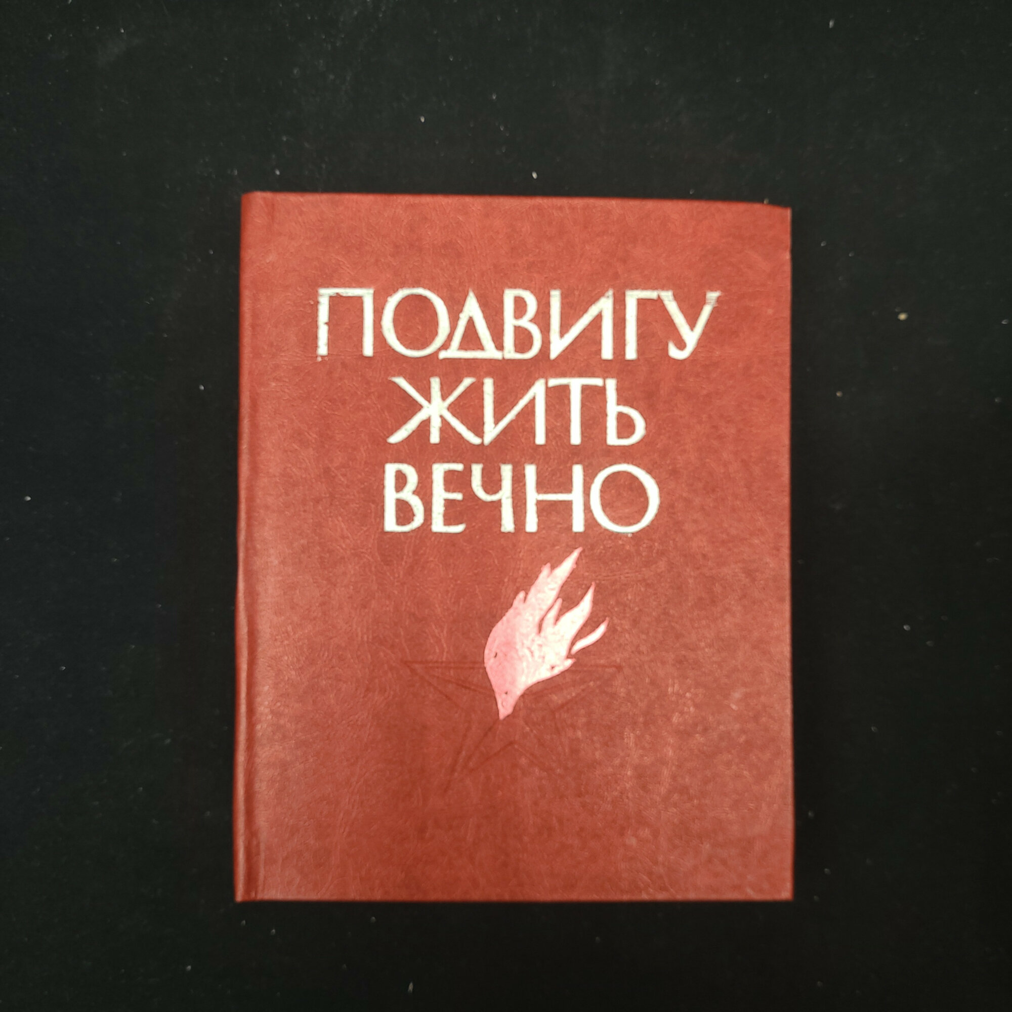 Василий Фефелов. Подвигу жить вечно. Книга СССР, историческая литература