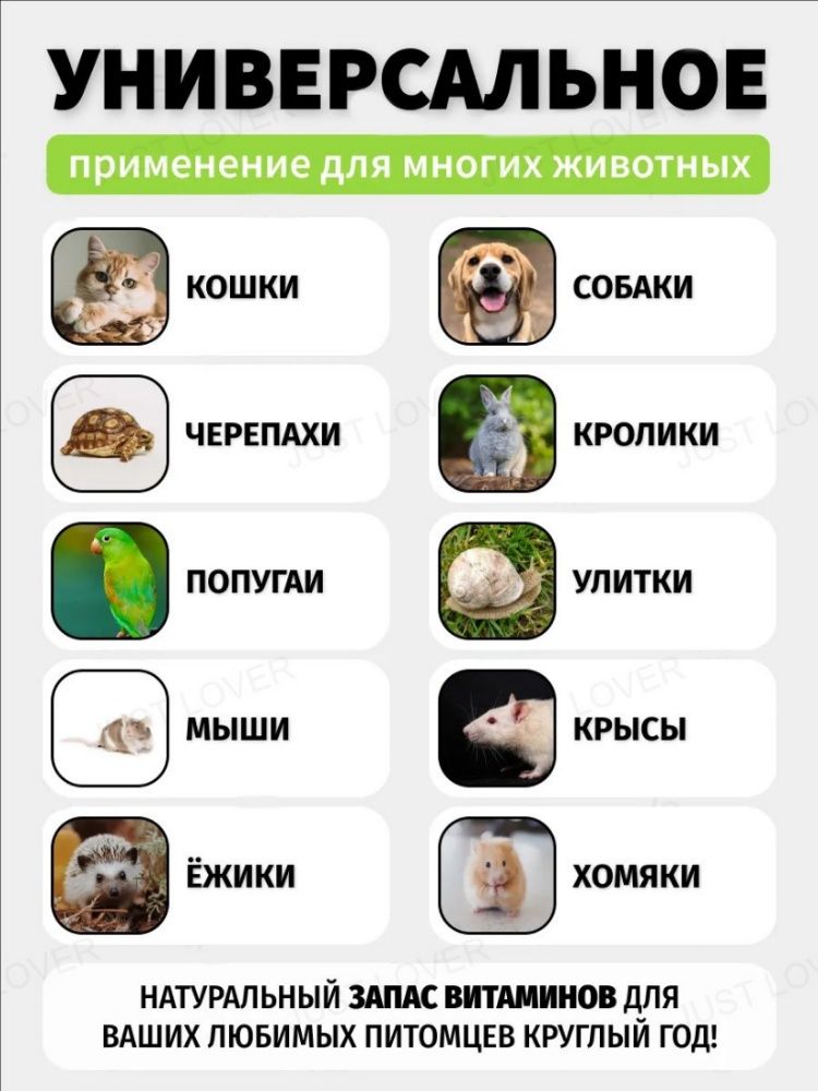 Миска для животных — фото 1
