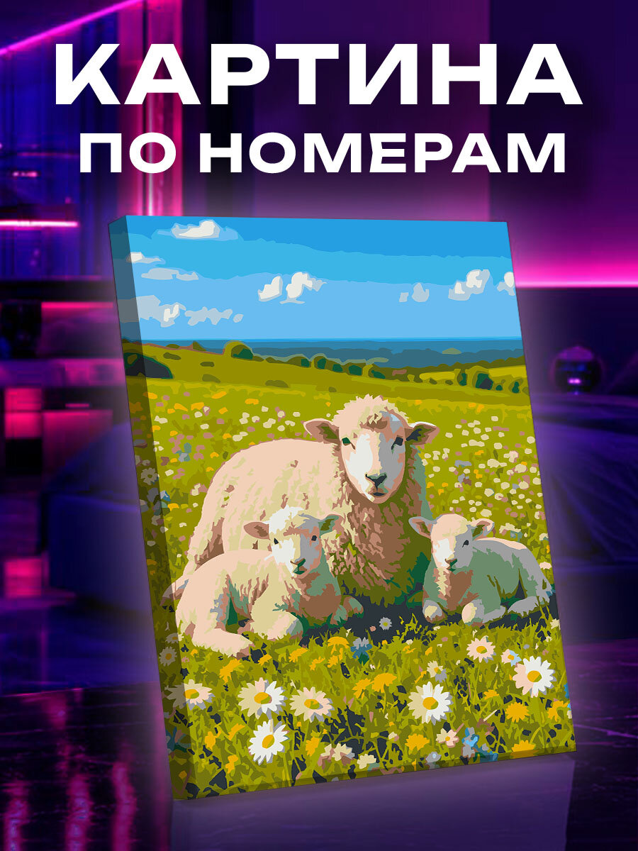 Картина по номерам Овечья семья на лугу