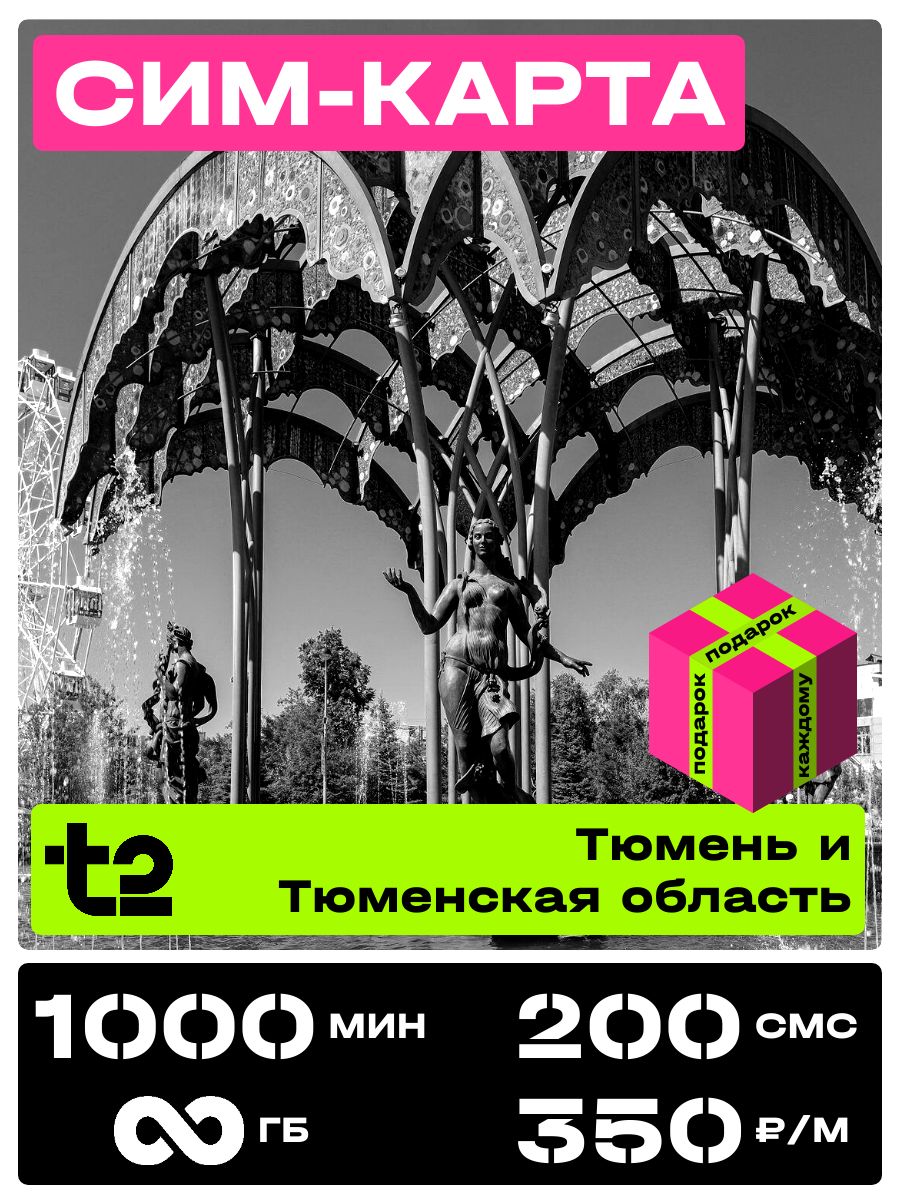 Сим карта теле 2 с безлимитным интернетом. t2 SIM-карта тариф Партнер М Тюменская область. 1000 минут за 350 рублей в месяц.