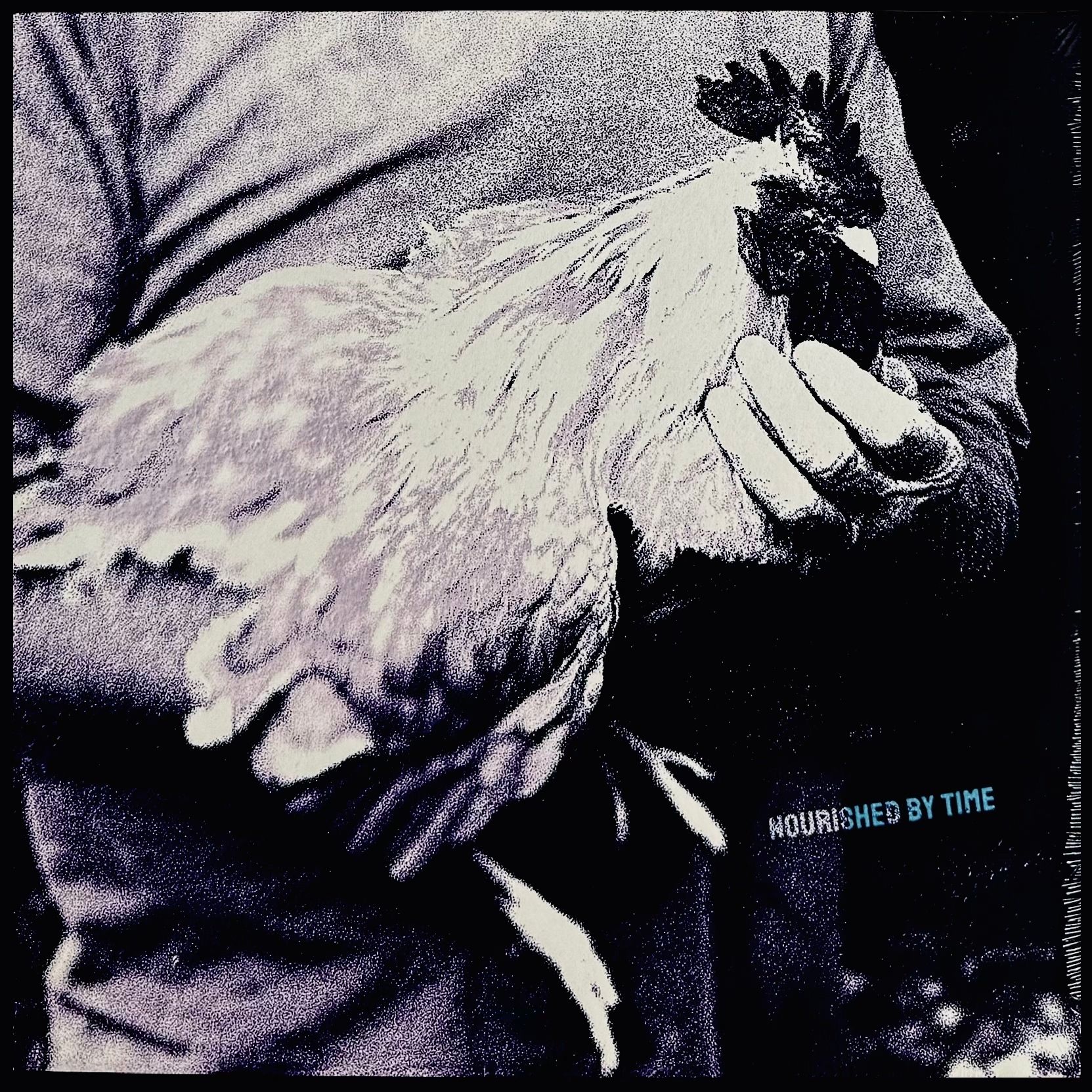 Виниловая пластинка Nourished By Time Catching Chickens (EP, 2024, XL Recordings) 45 RPM