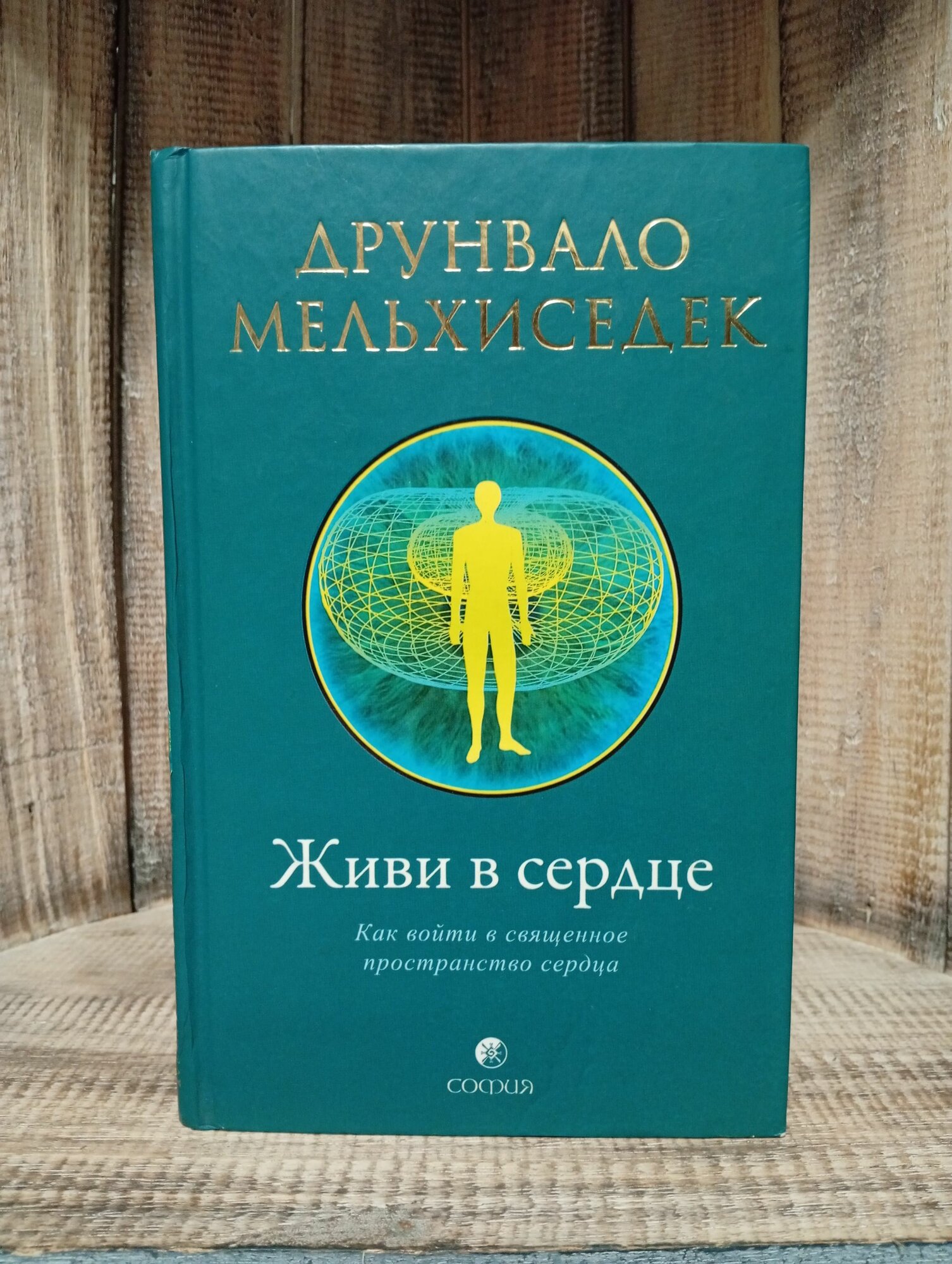Живи в сердце. Как войти в священное пространство сердца