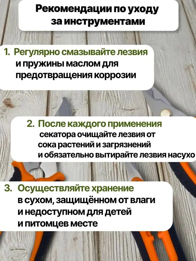 Набор садовника профессиональный: секатор и садовые ножницы, 3 шт — фото 1