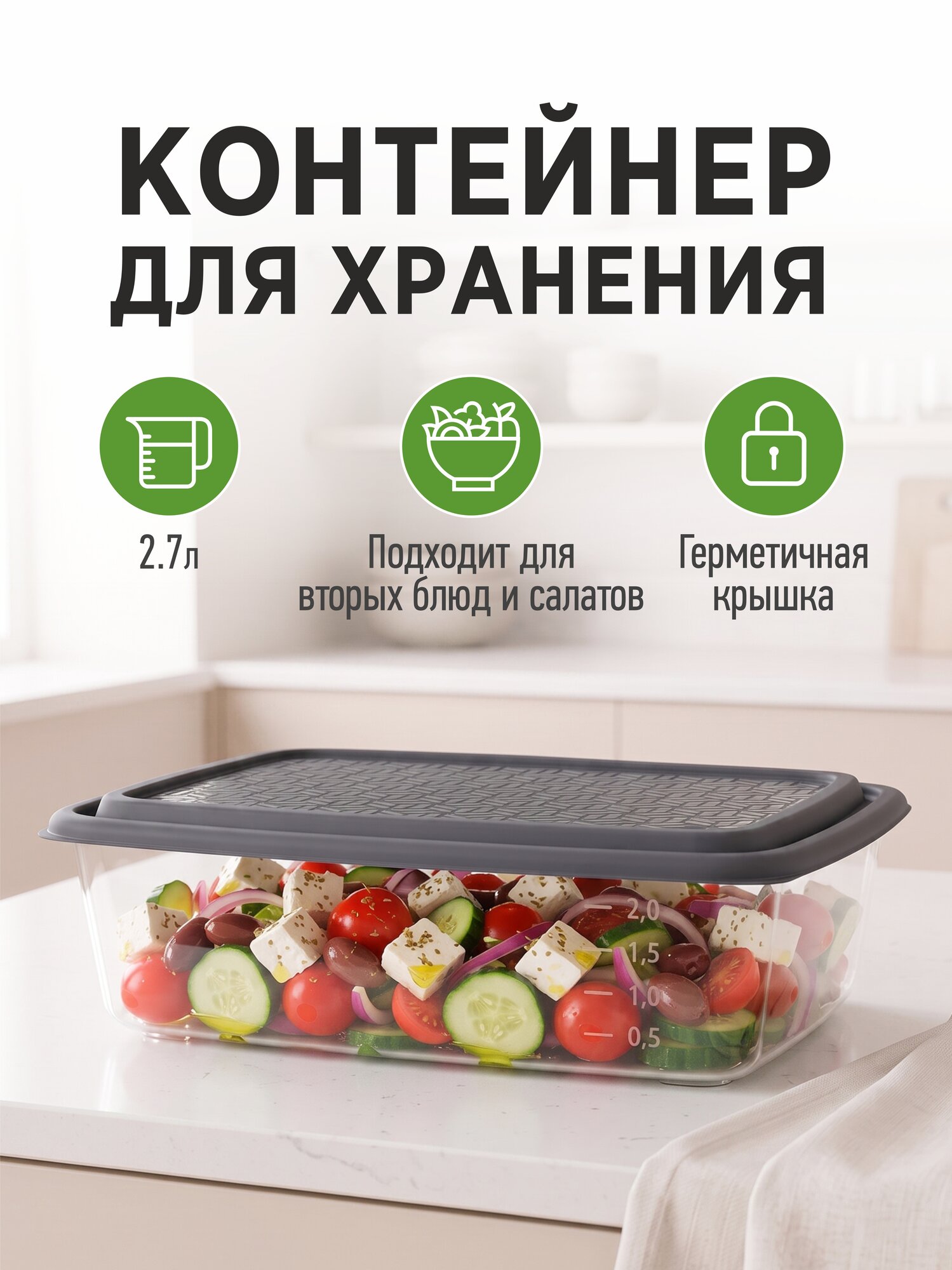 Большой контейнер для хранение продуктов и готовых блюд с крышкой "Гурман", 2.7 л