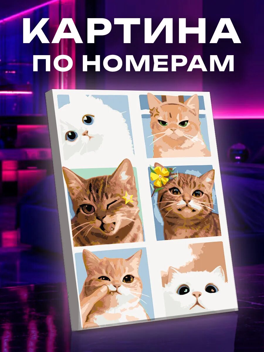 Картина по номерам Смешные котики