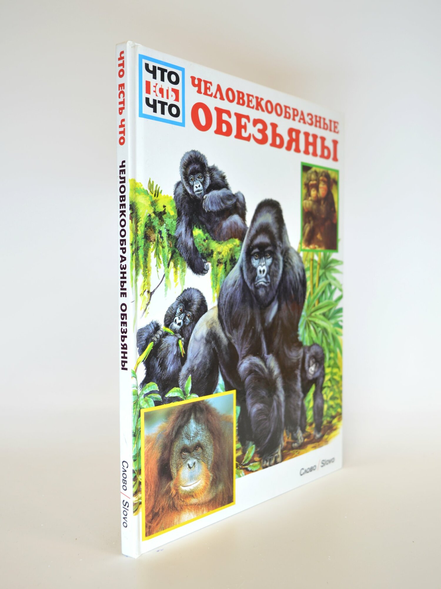 Человекообразные обезьяны. Что есть что. Дрешер Витус Б. Букинистическая книга в отличном состоянии.