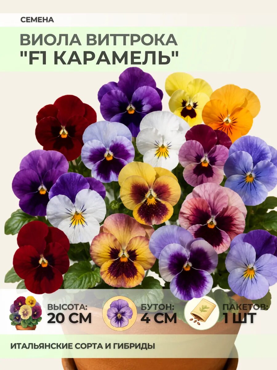 Виола "Карамель" F1, яркие и нежные оттенки, устойчивый к погоде гибрид, 1 упаковка, 7 шт. семян.