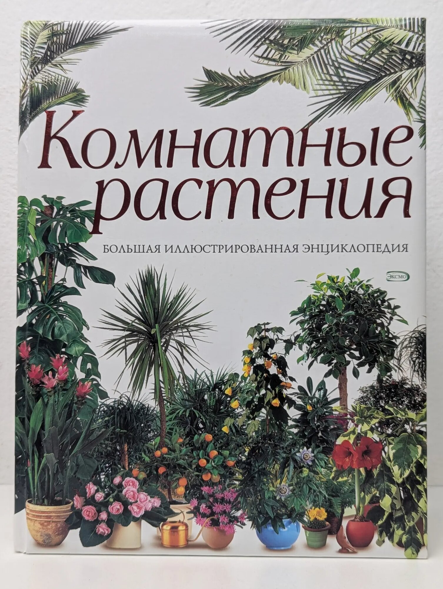 Комнатные растения. Большая иллюстрированная энциклопедия Сборник 2007