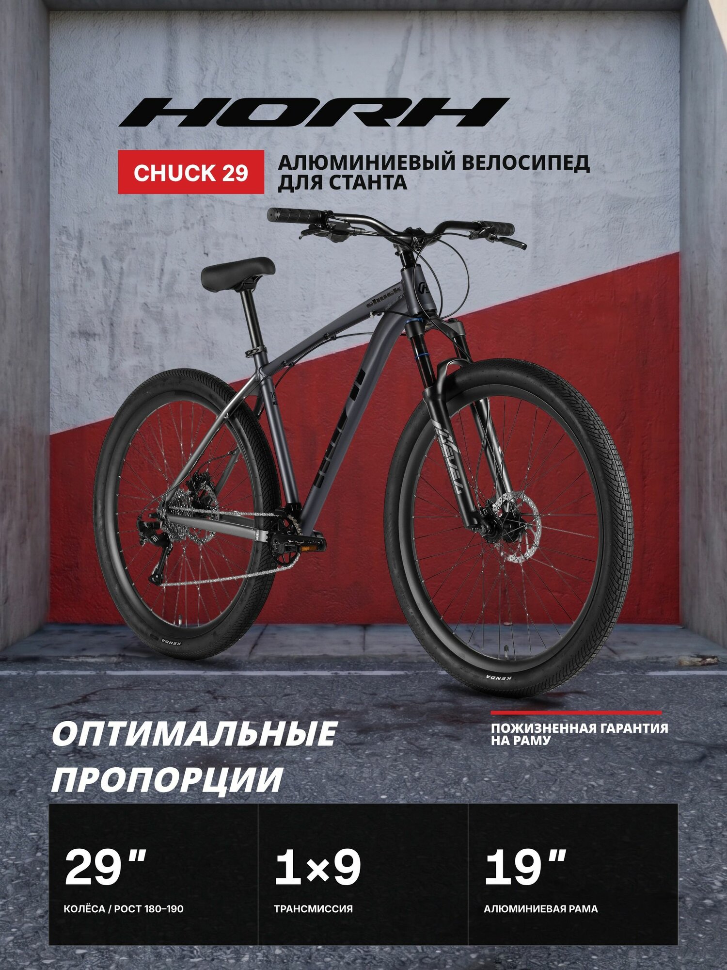 Велосипед для станта HORH CHUCK 29 темно-серый, мужской