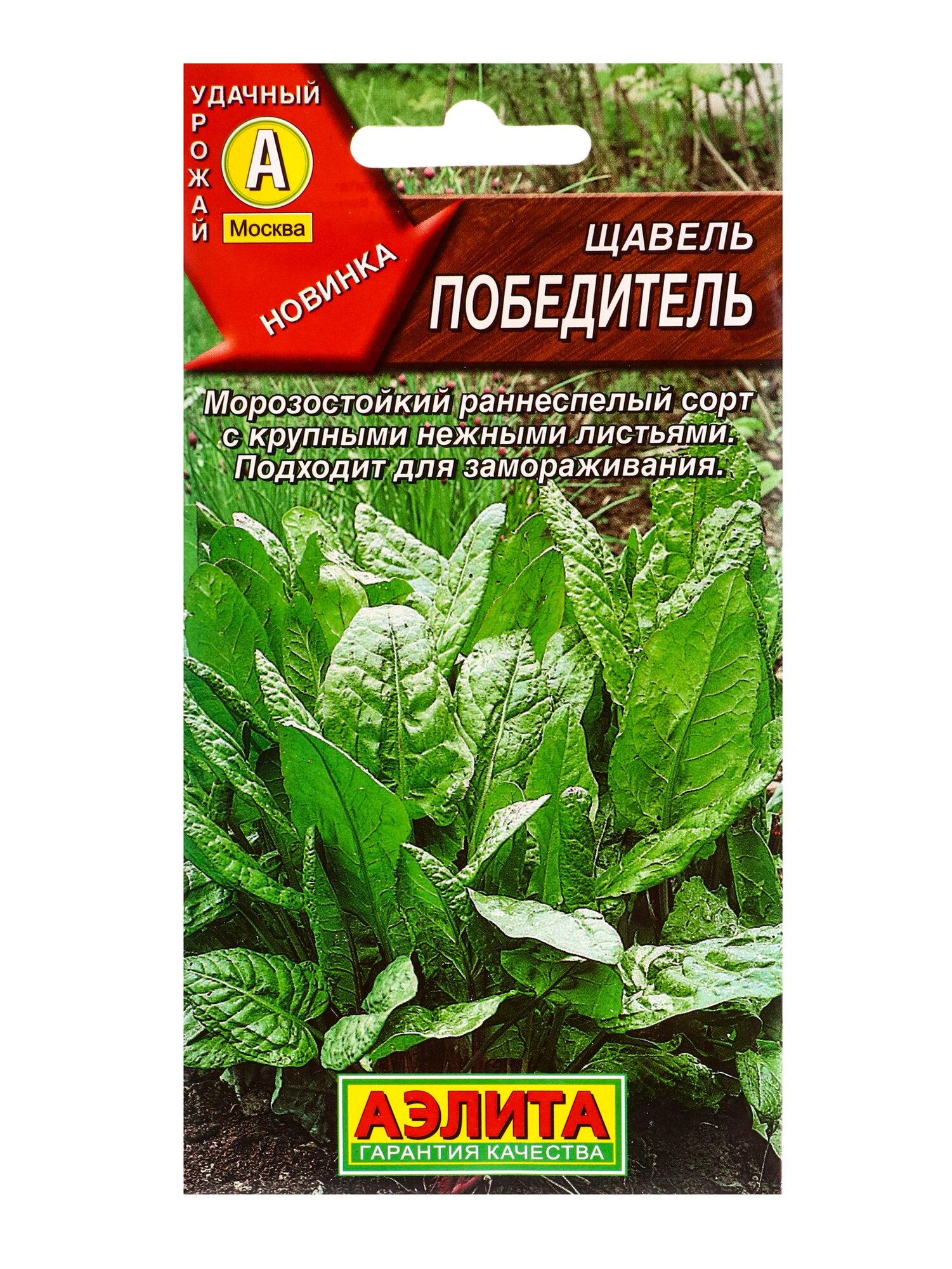 Щавель «Победитель», семена, 0.5 г, «Агрофирма аэлита»