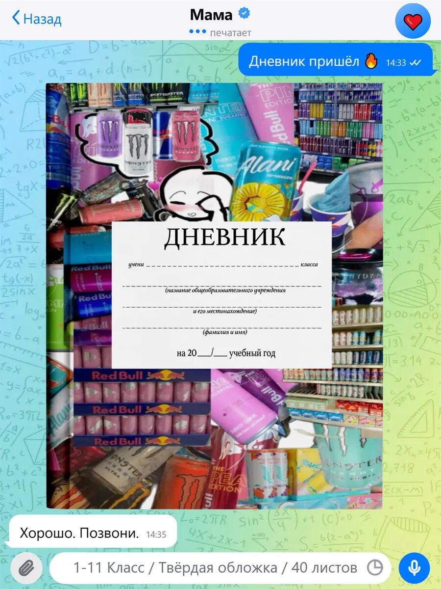 Школьный дневник с принтом Роблокс