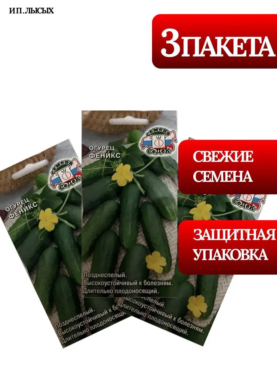 Семена Огурец "Феникс"