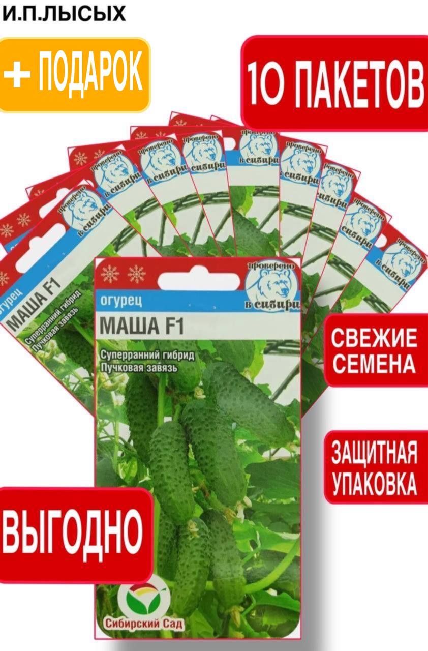 Семена Огурец Маша F1 10 шт