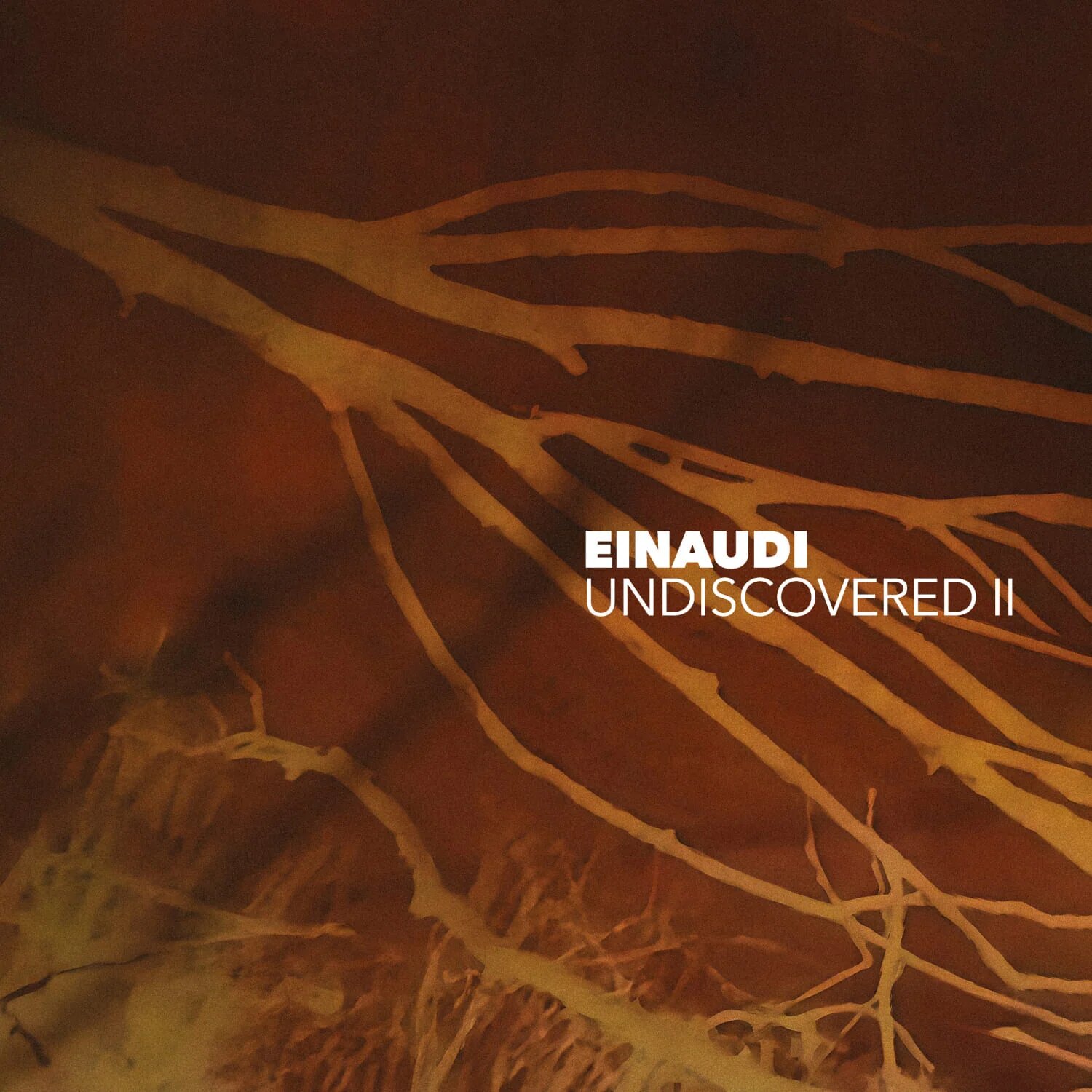 Ludovico Einaudi - Undiscovered II - Black 2LP - новая виниловая пластинка