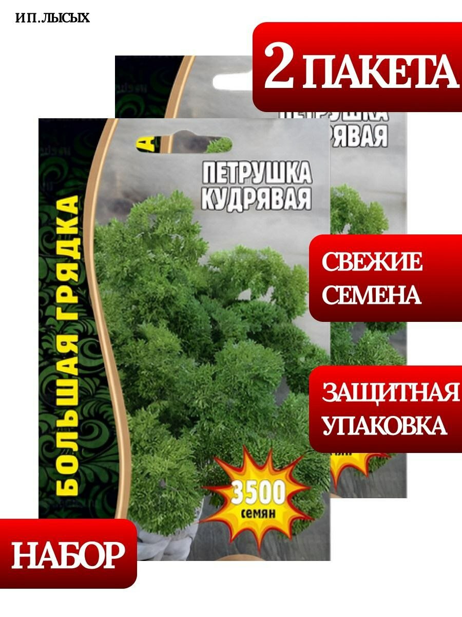 Семена Петрушка "Кудрявая"