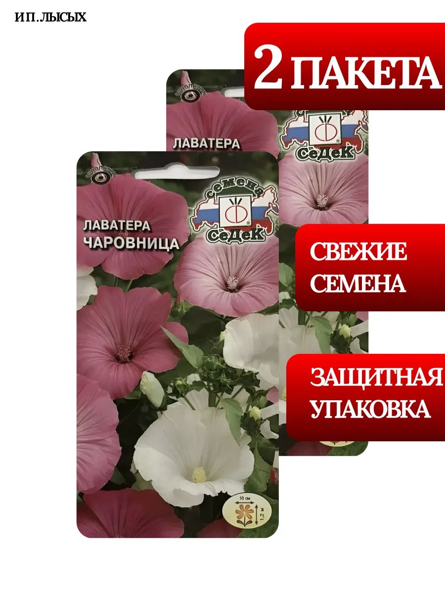 Семена Лаватера "Чаровница"