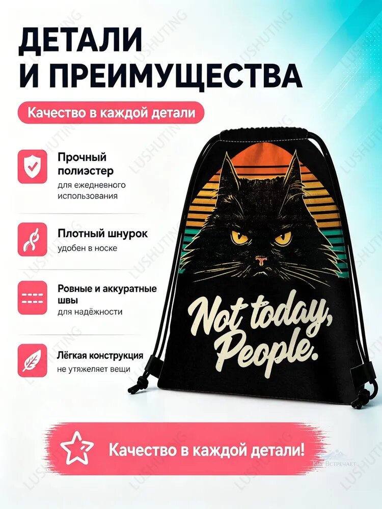 Мешок для сменной обуви с принтом кота для школы