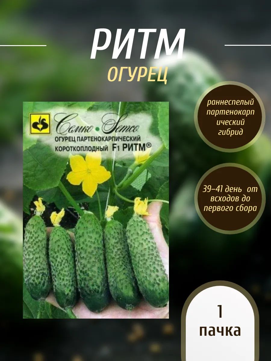 Огурец Ритм F1,5 семян