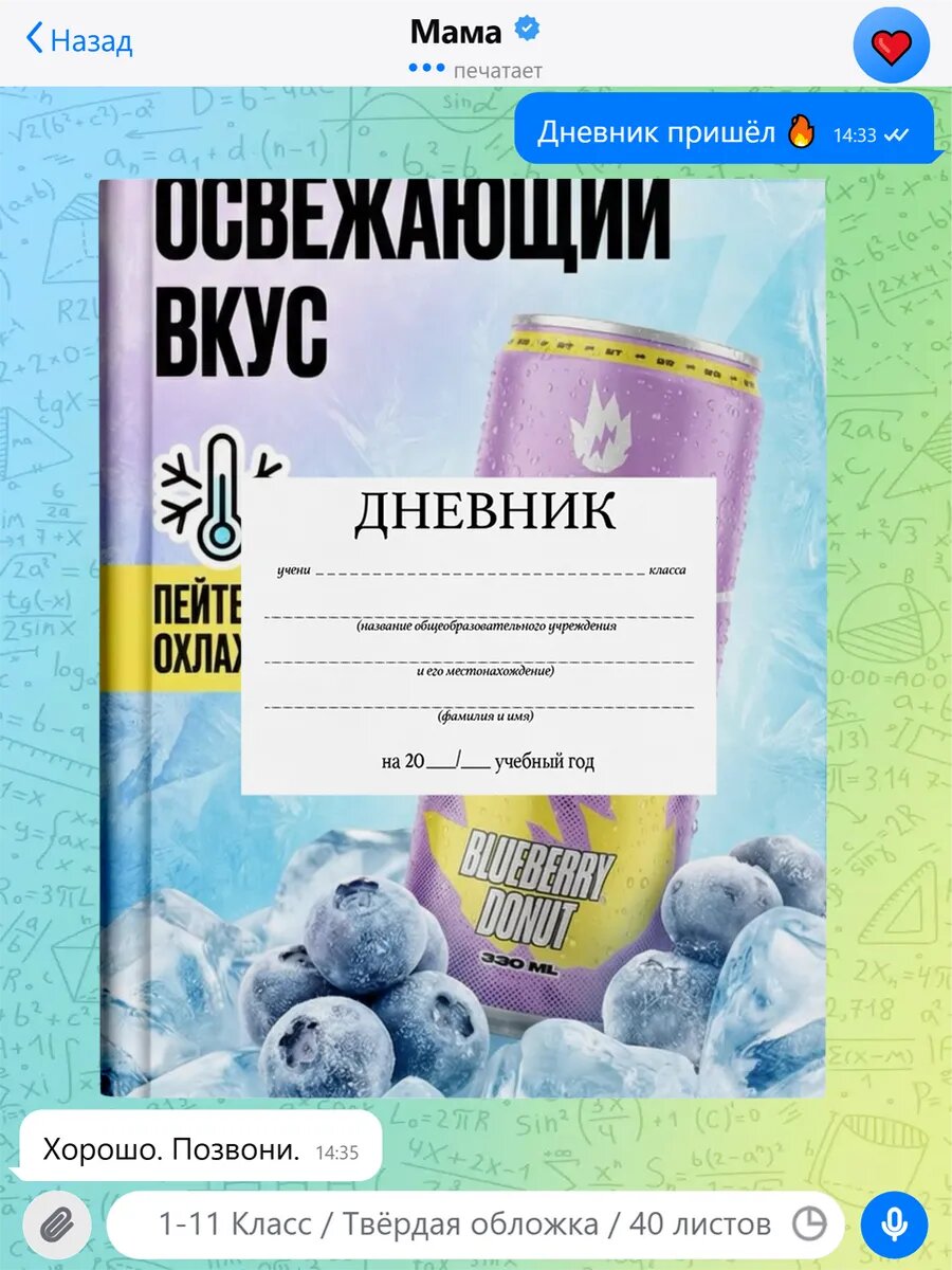 Школьный дневник с принтом Роблокс