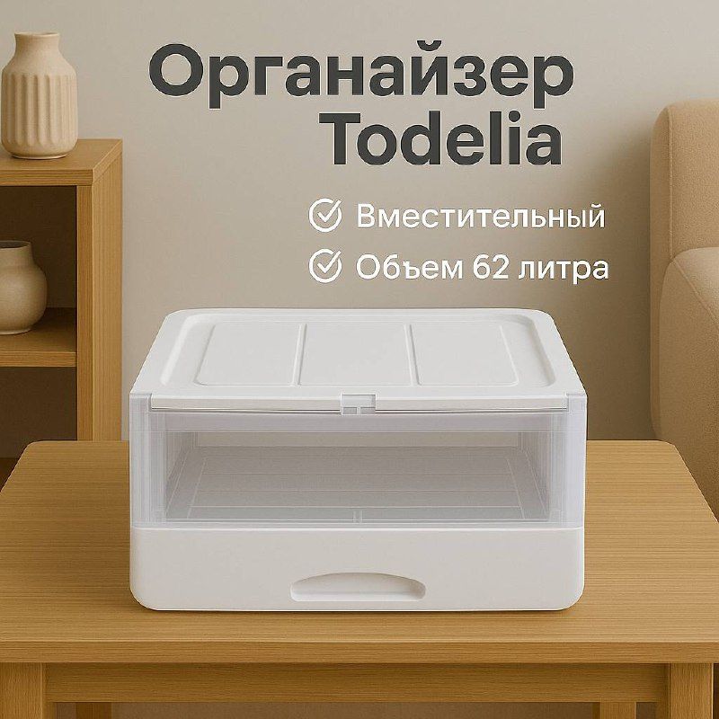 Органайзер с крышкой TODELIA 62л, размер: 38,5х43х37,5см, пластик