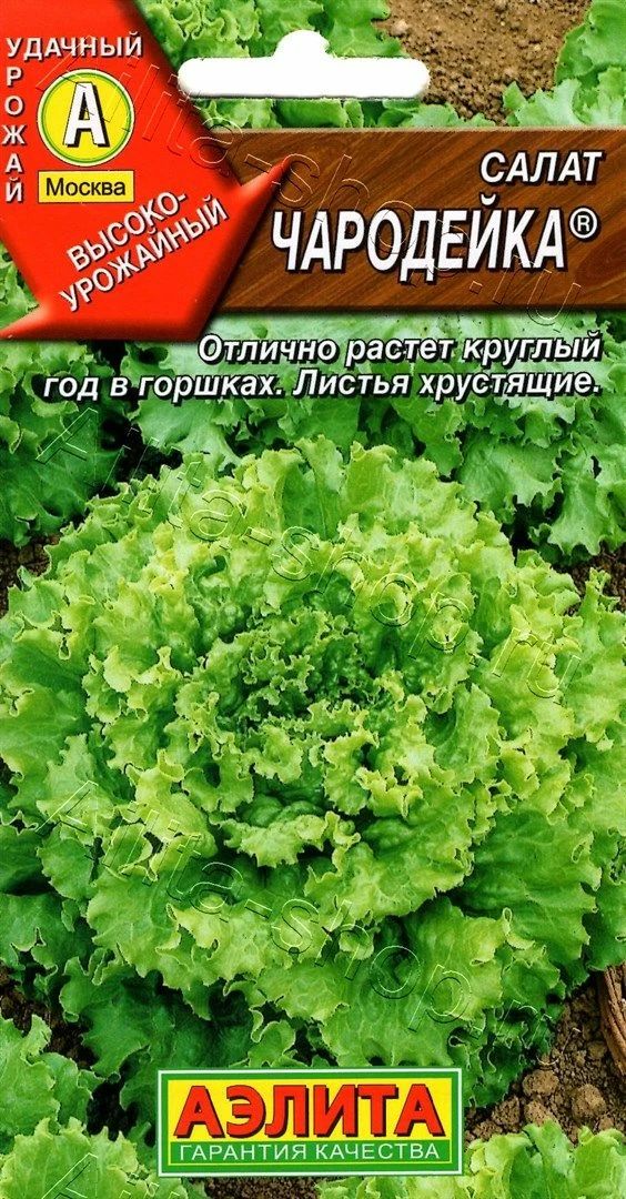 Семена "Салат Чародейка" 0,5г