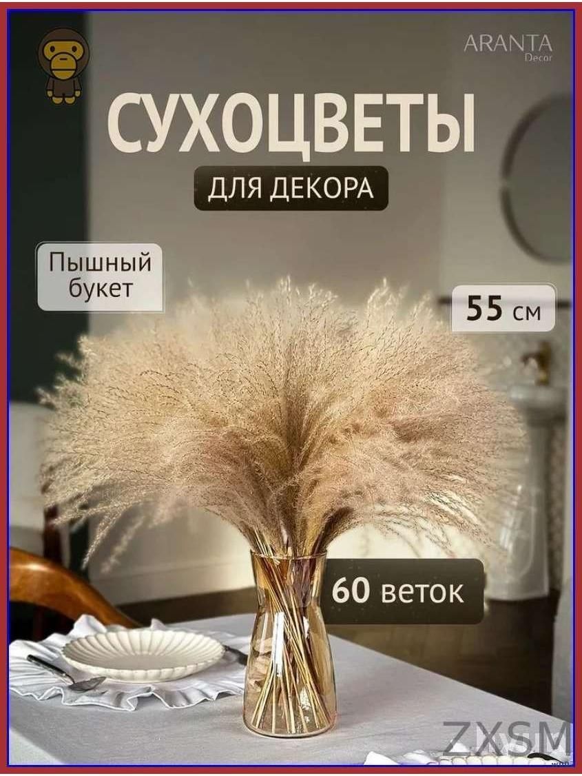 Сухоцветы Пампасная трава, Мискантус 55 см 1 шт белый