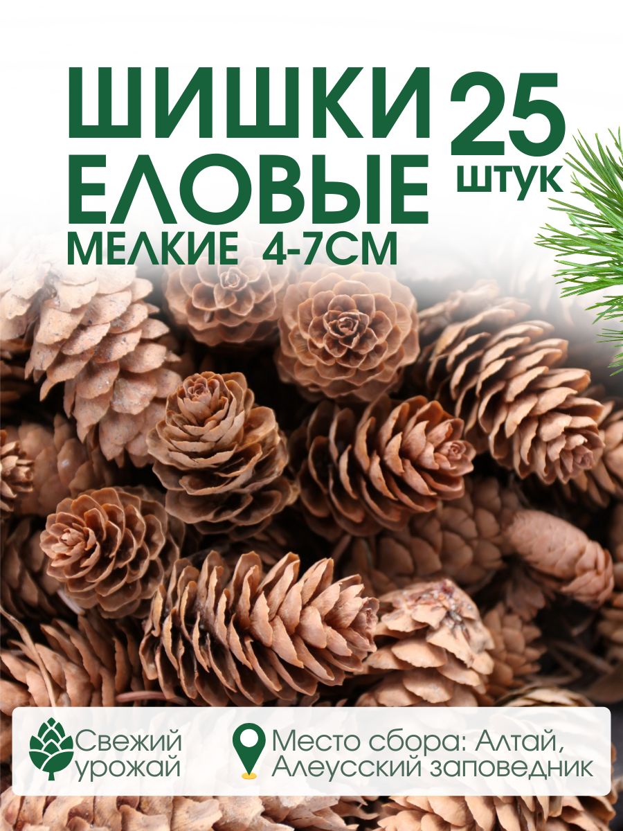 Шишки еловые для поделок и рукоделия мелкие 4-6см 25 штук