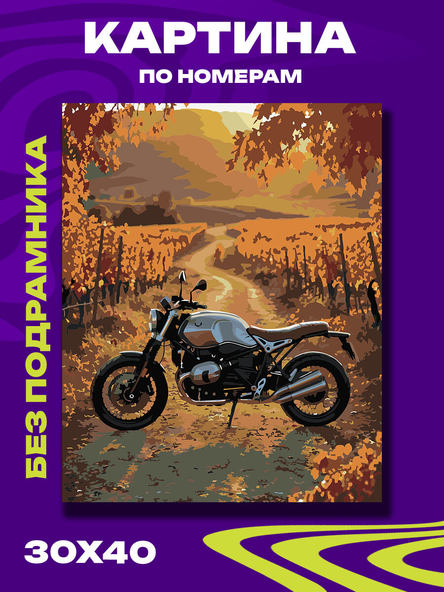 Картина по номерам Янтарная осень BMW R nineT