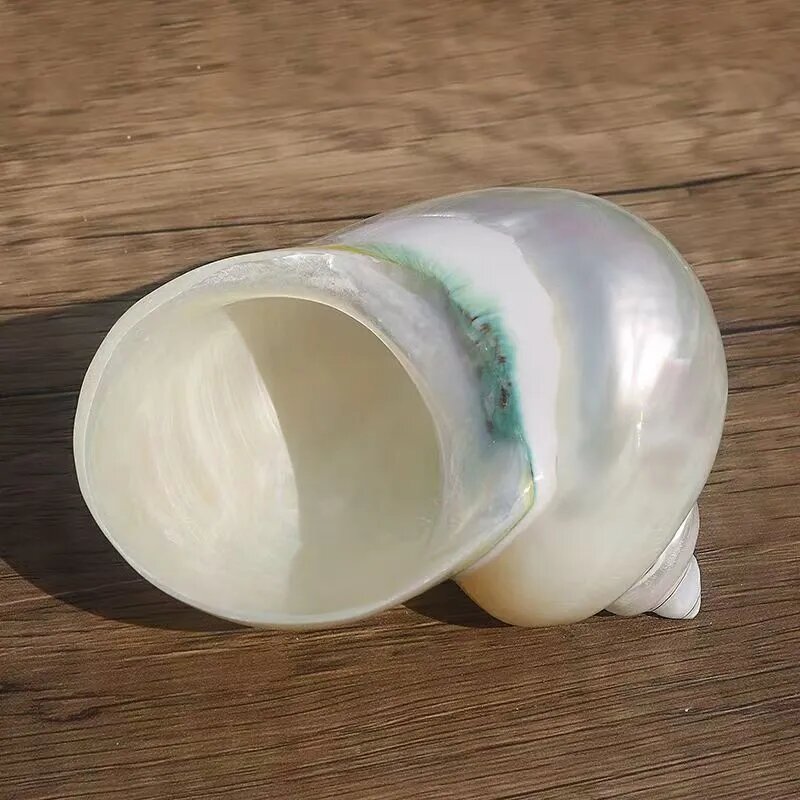 Ракушка морская, натуральная Турбо Перламутровая 8-9CM