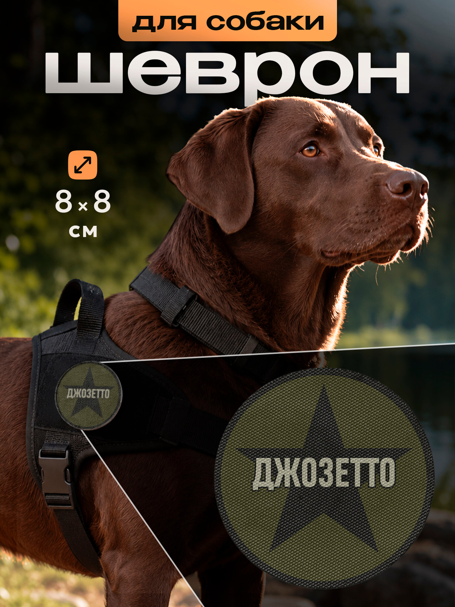 Шеврон IREVIVE кожаный, круглый 8 см, Джозетто , на липучке, для формы, военному