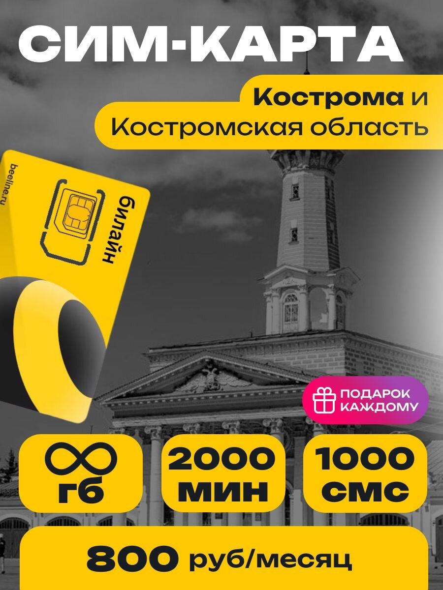 Сим-карта Билайн тариф Супер Выгодный Костромская область Безлимитный интернет и 2000 минут за 800 руб.