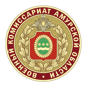Знак"100 лет Военный комиссариат Амурской области", латунь