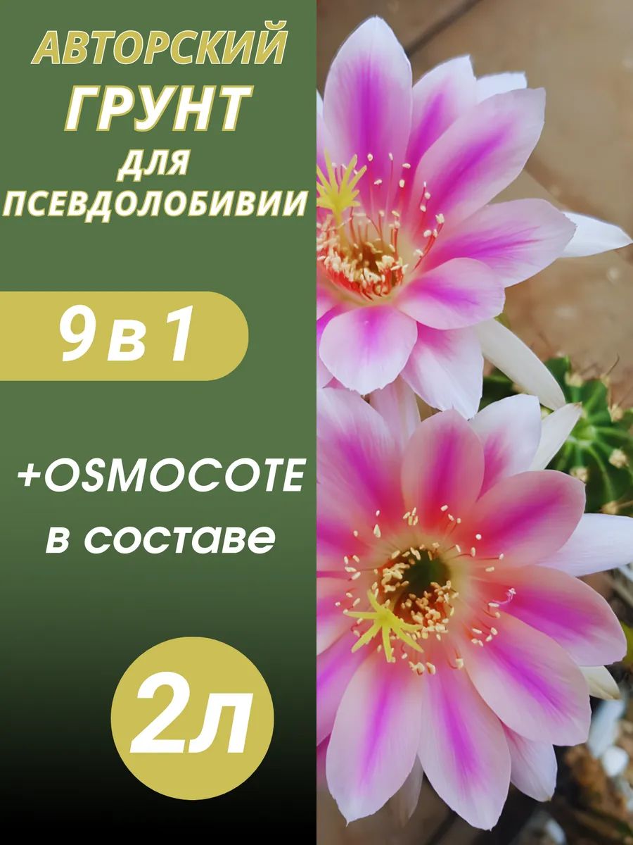 Грунт для Псевдолобивии 2л готовый