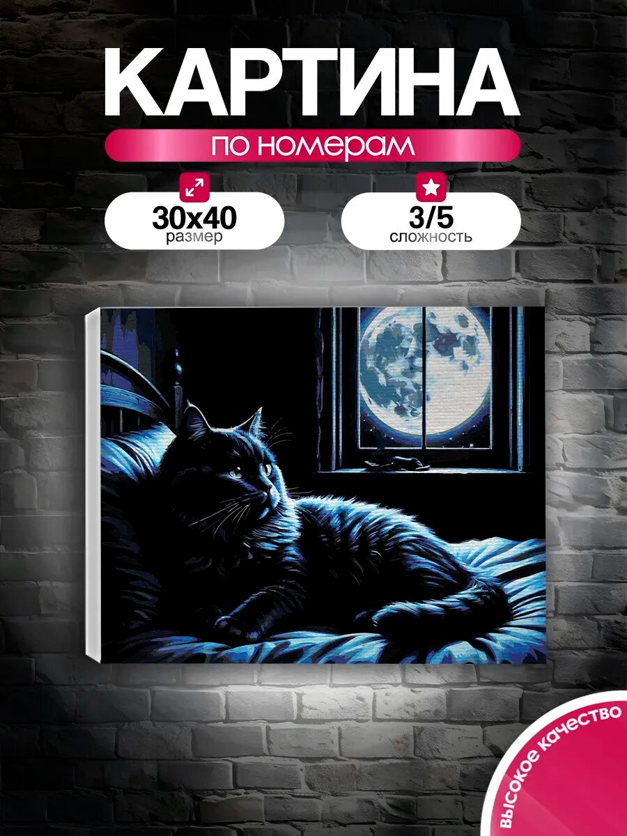 Картина по номерам 30x40 Лунный кот