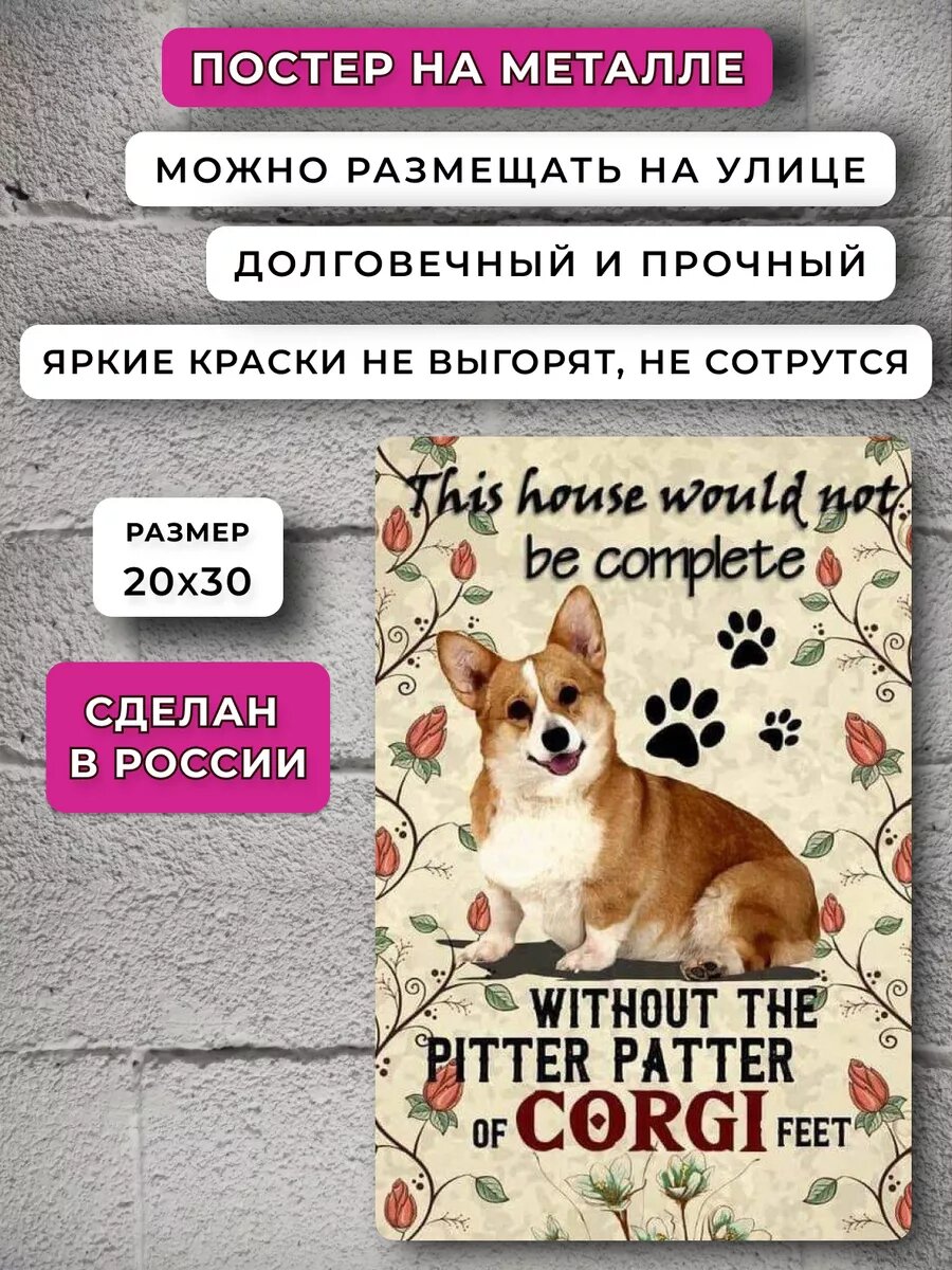 Постер Корги — фото 1